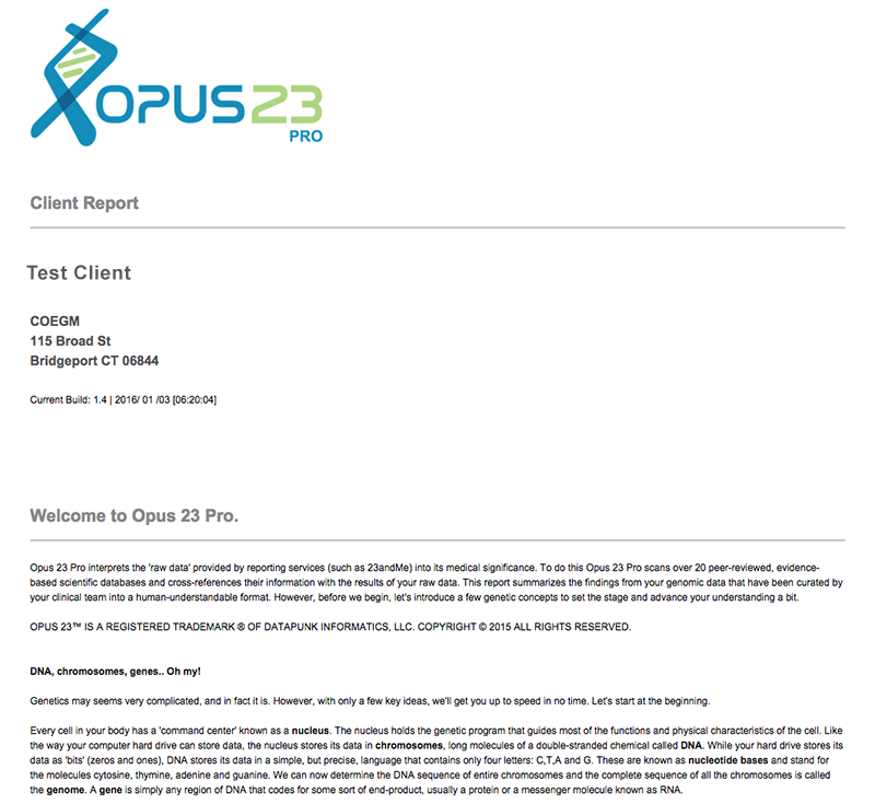 Datapunk Opus23 | Help Docs